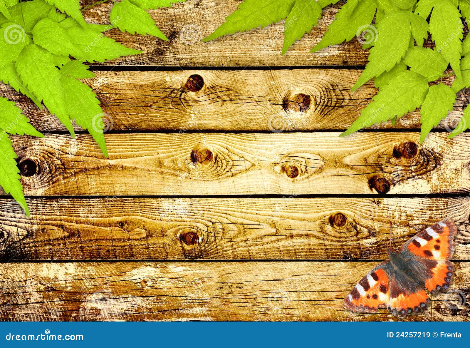 Message of nature stock image. Image of seedling, frame - 24257219