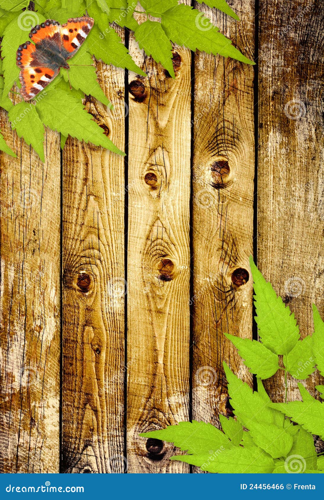 Message of nature stock photo. Image of summer, concept - 24456466