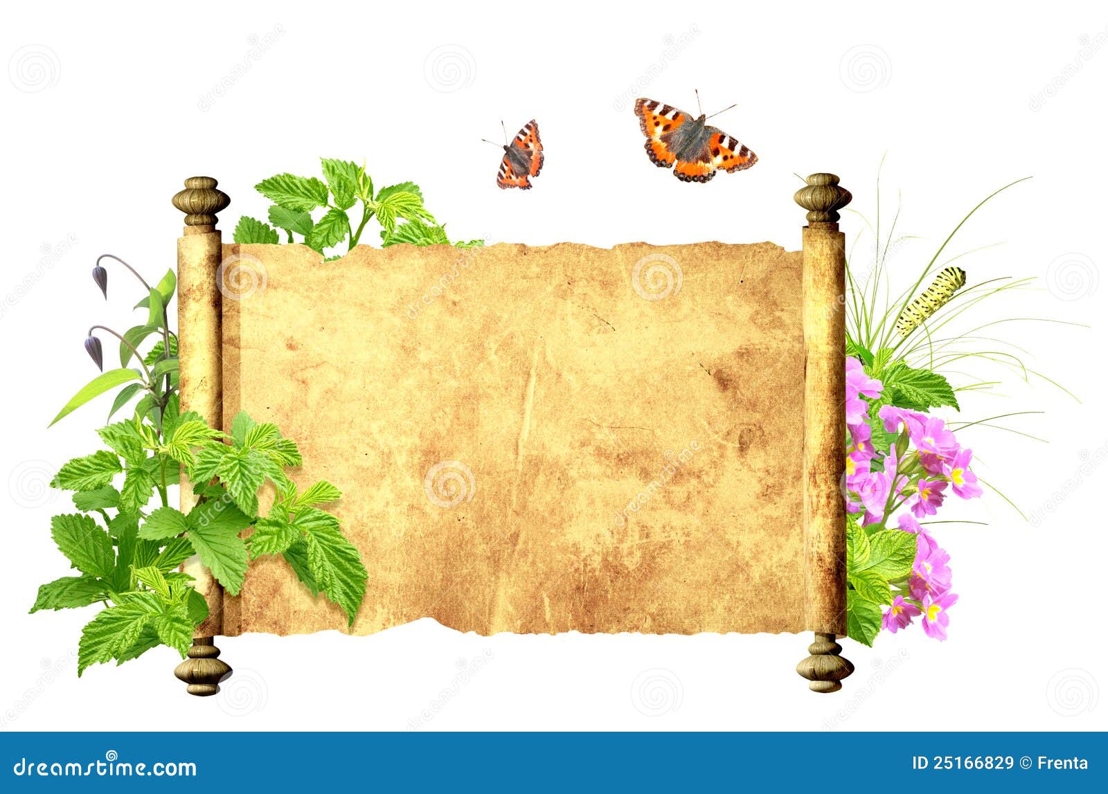 Message of nature stock illustration. Illustration of parchment - 25166829