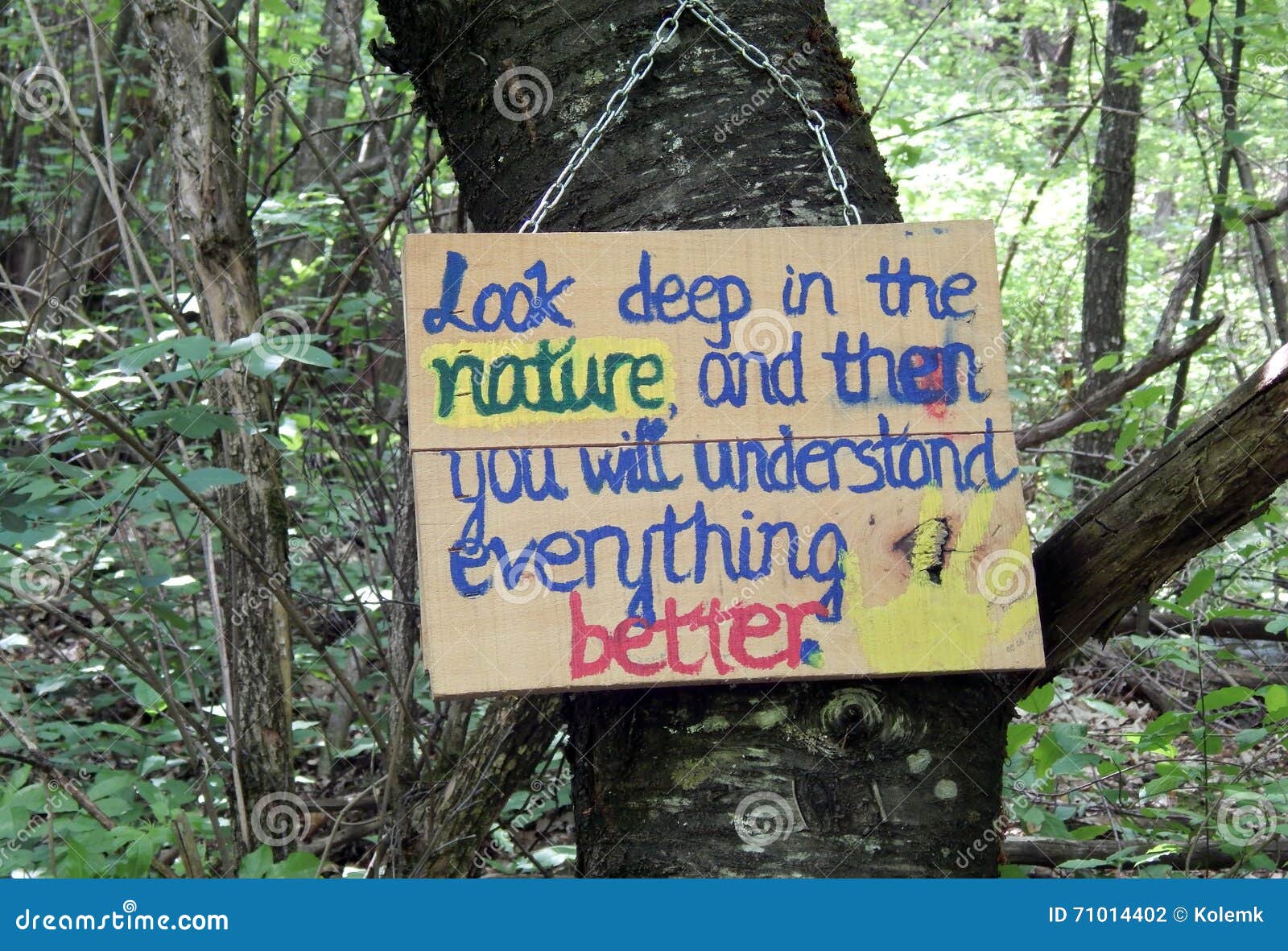 Message of Nature 2 stock photo. Image of healthy, forest - 71014402