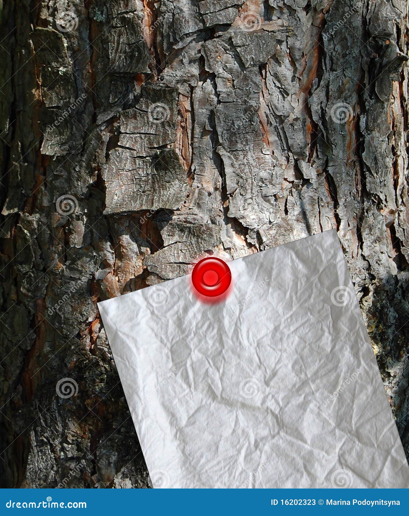 Message in a tree stock illustration. Illustration of element - 16202323