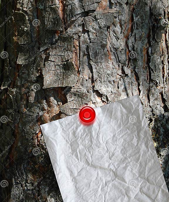 Message in a tree stock illustration. Illustration of element - 16202323