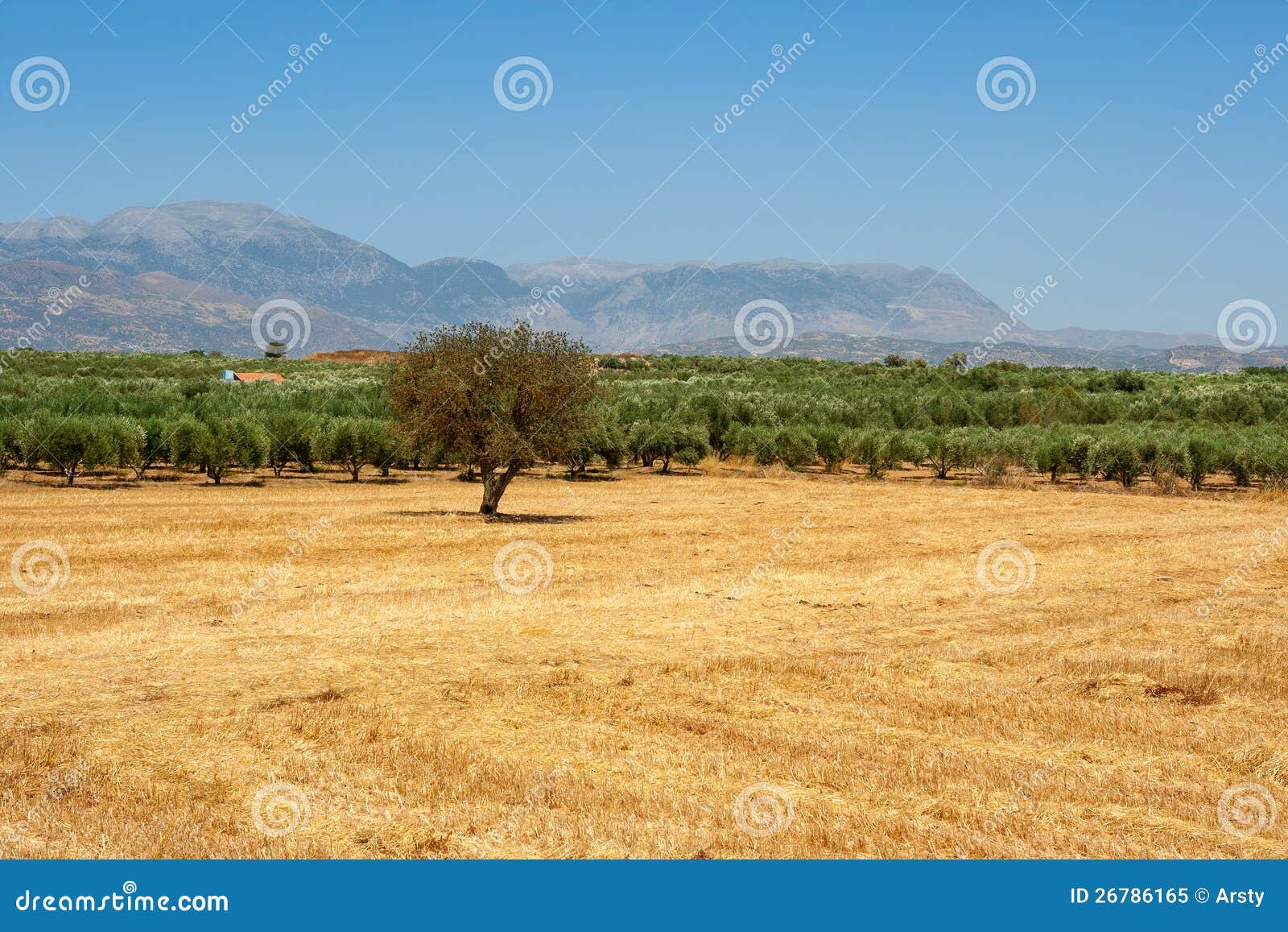 Messara Plain. Crete, Greece Stock Image - Image of greece, landscape ...