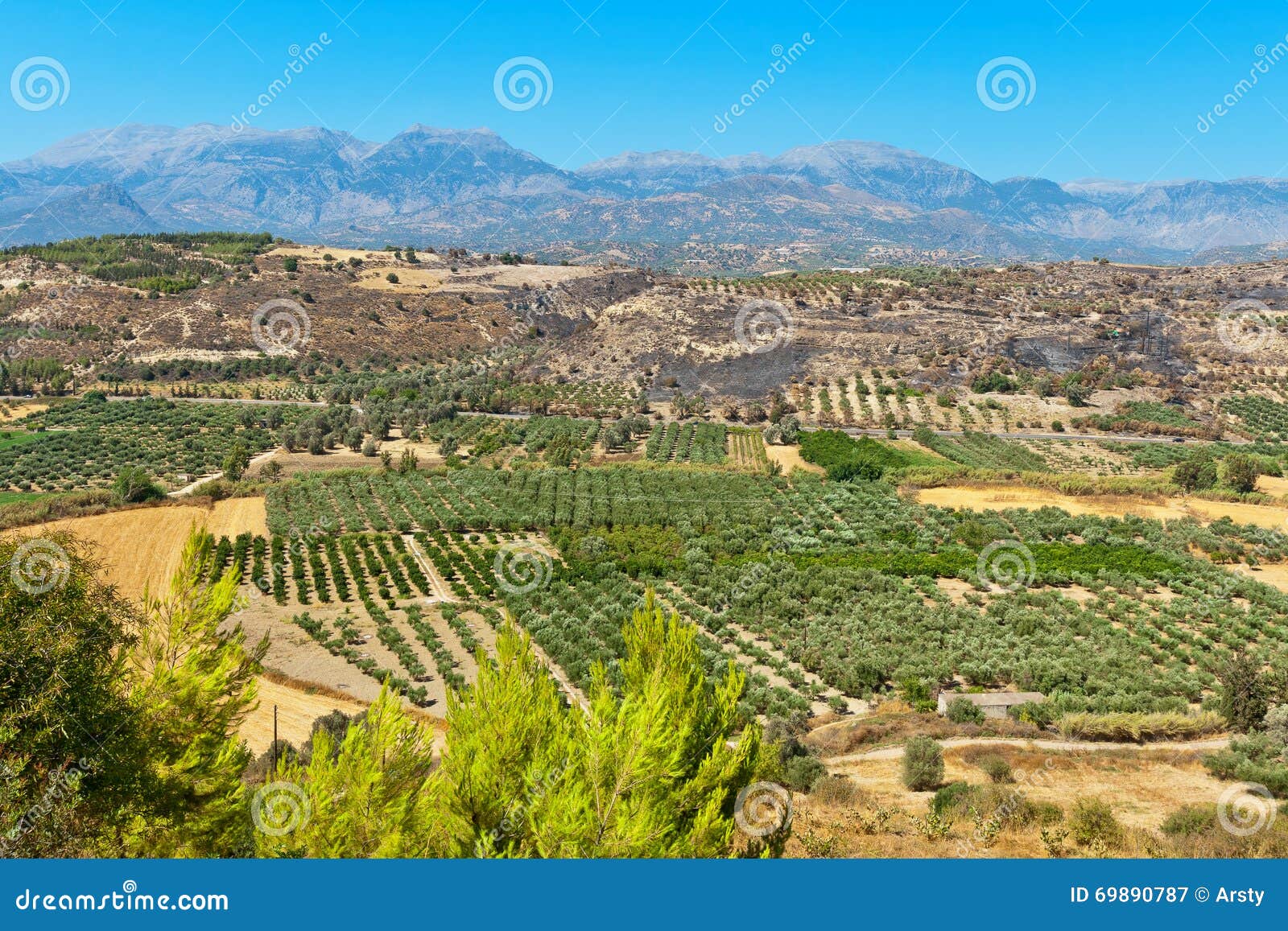 Messara Plain. Crete, Greece Stock Image - Image of archaeology, growth ...