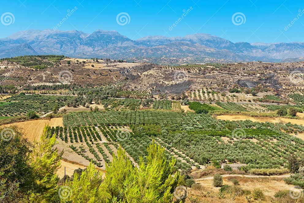 Messara Plain. Crete, Greece Stock Image - Image of archaeology, growth ...
