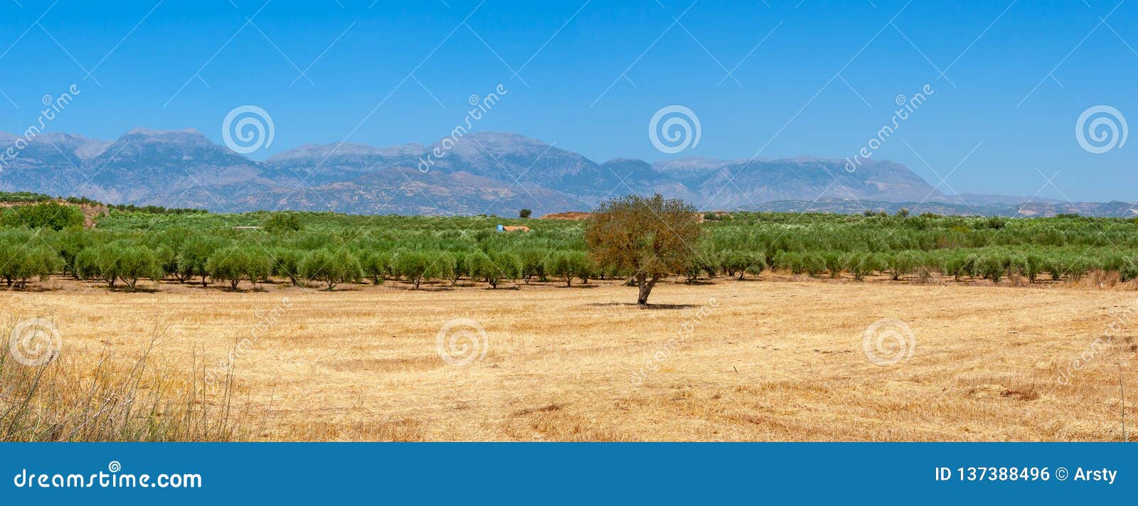 Messara Plain View. Crete, Greece Stock Photo - Image of festos, mesara ...