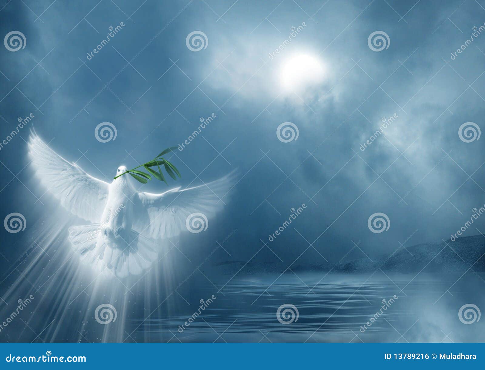 Messenger of peace stock photo. Image of spiritual, clouds - 13789216