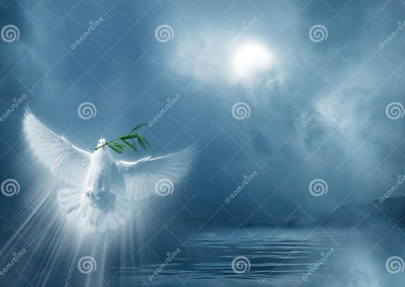 Messenger of peace stock photo. Image of spiritual, clouds - 13789216