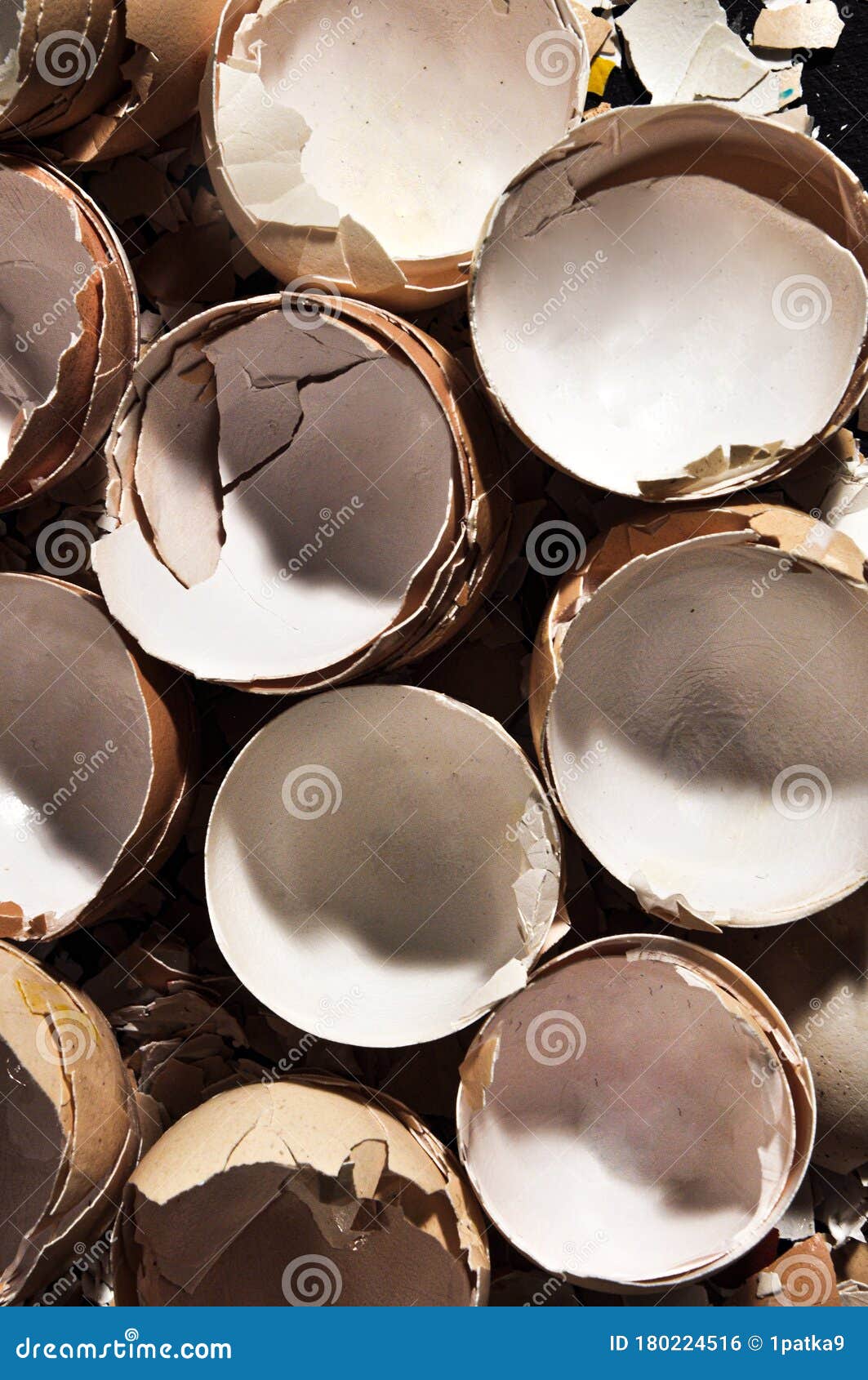 Messy Clean Crushed Egg Shells Royalty-Free Stock Photography ...