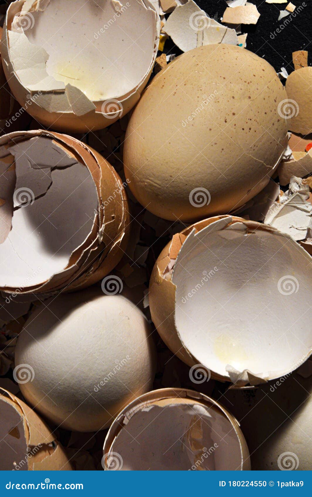Messy Clean Crushed Egg Shells Royalty-Free Stock Photography ...