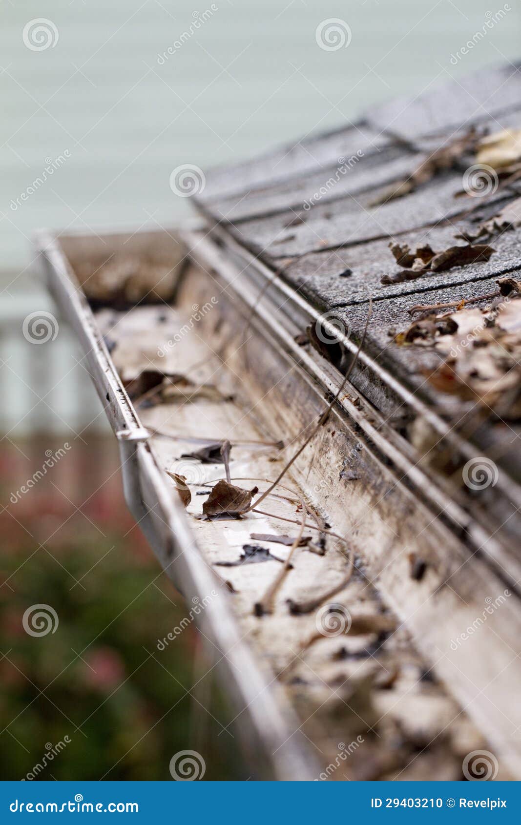 Messy Corner Gutter stock photo. Image of shingle, corner - 29403210