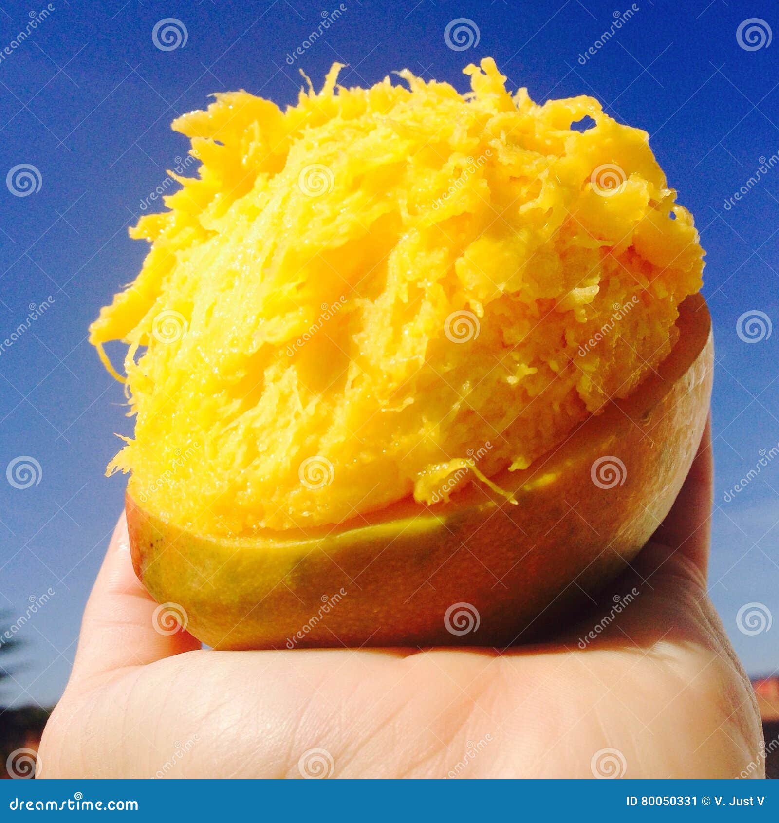 Messy Hair Mango Stock Photos - Free & Royalty-Free Stock Photos from ...