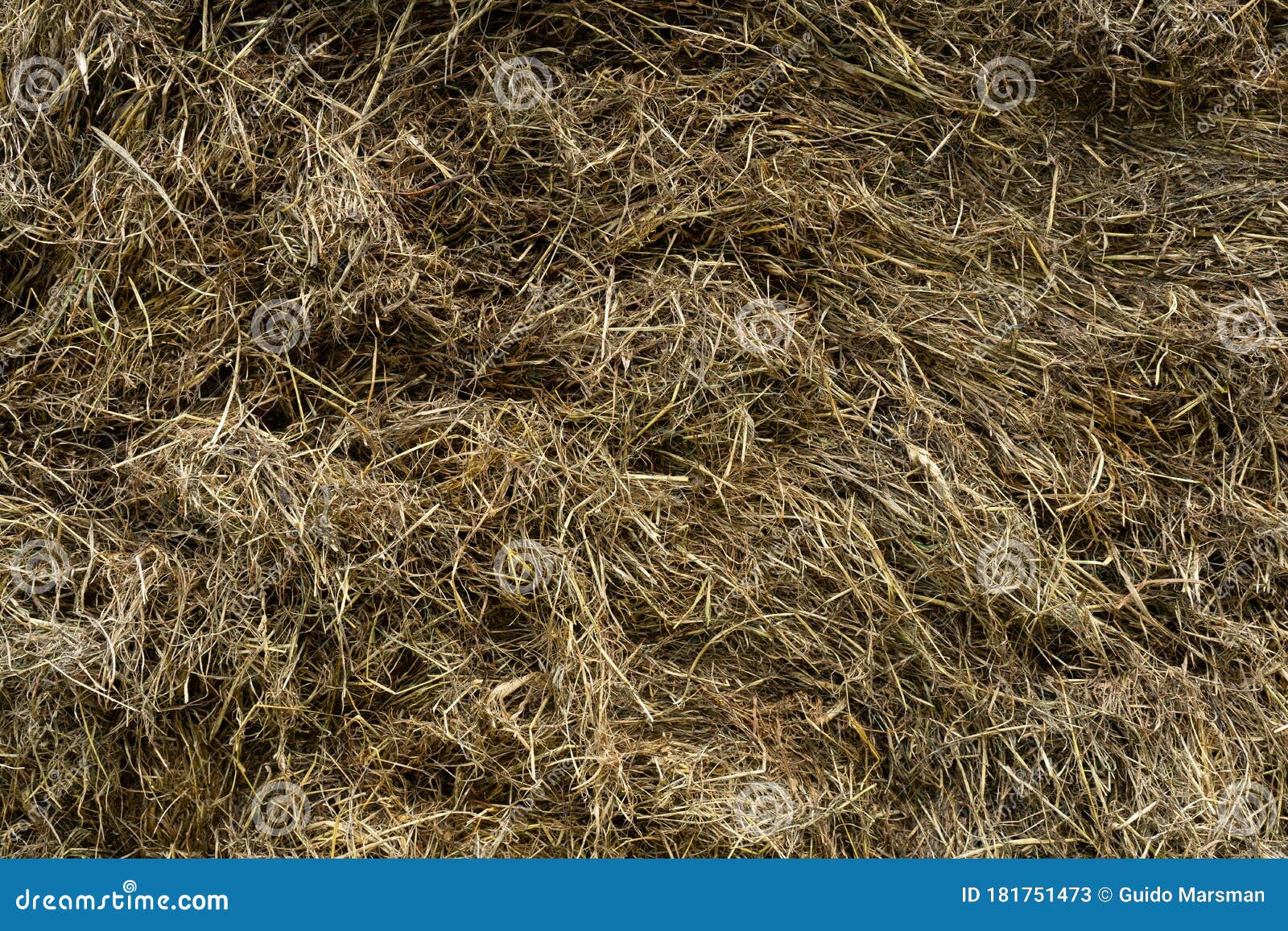Messy Hay Stack Texture Topview Stock Image - Image of field ...