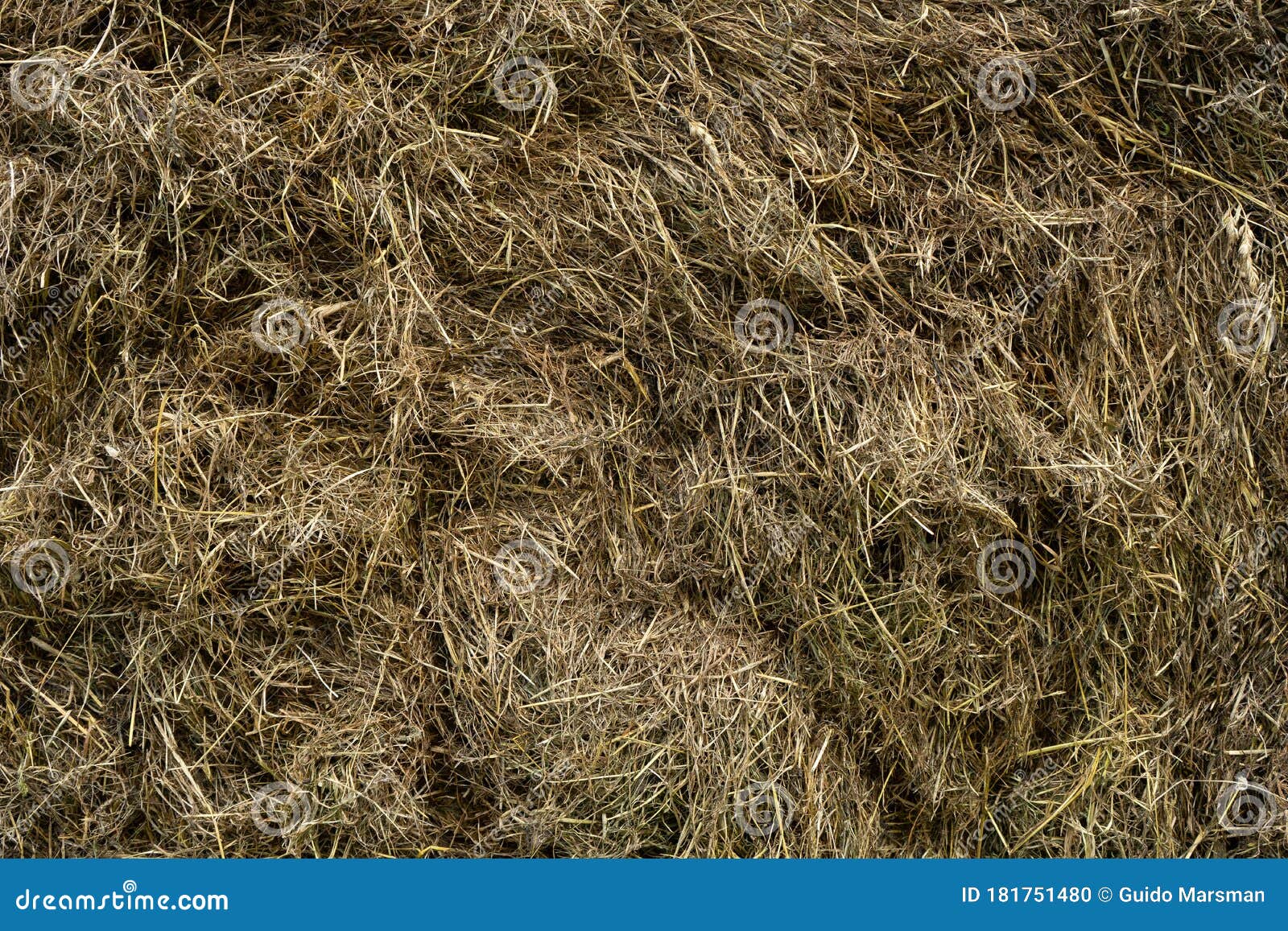 Messy Hay Stack Texture Topview Stock Photo - Image of countryside ...