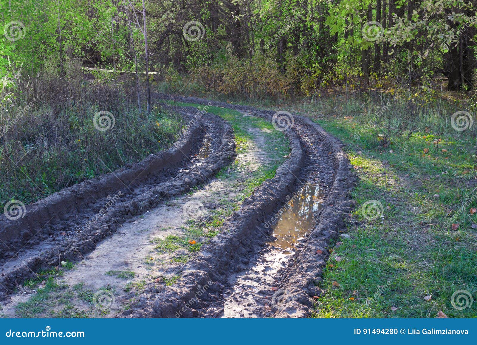 Messy rural dirt road stock photo. Image of dirt, land - 91494280