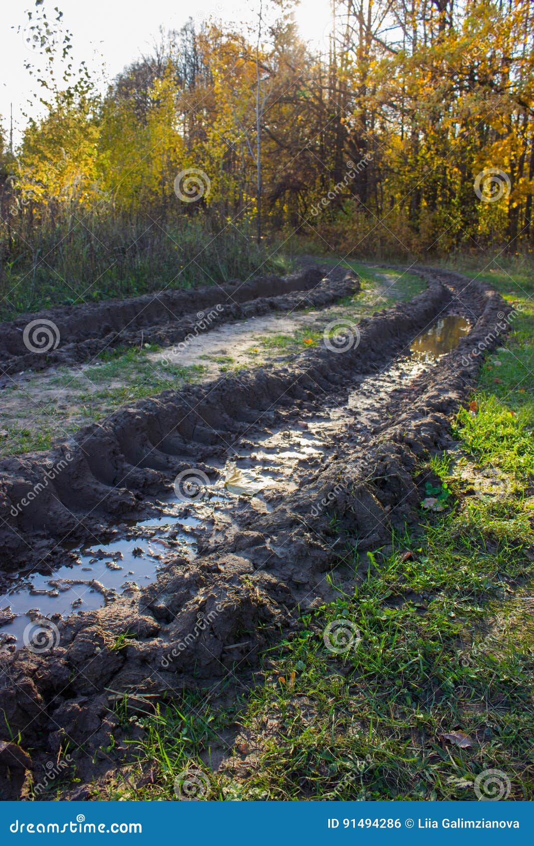 Messy rural dirt road stock photo. Image of clay, countryside - 91494286