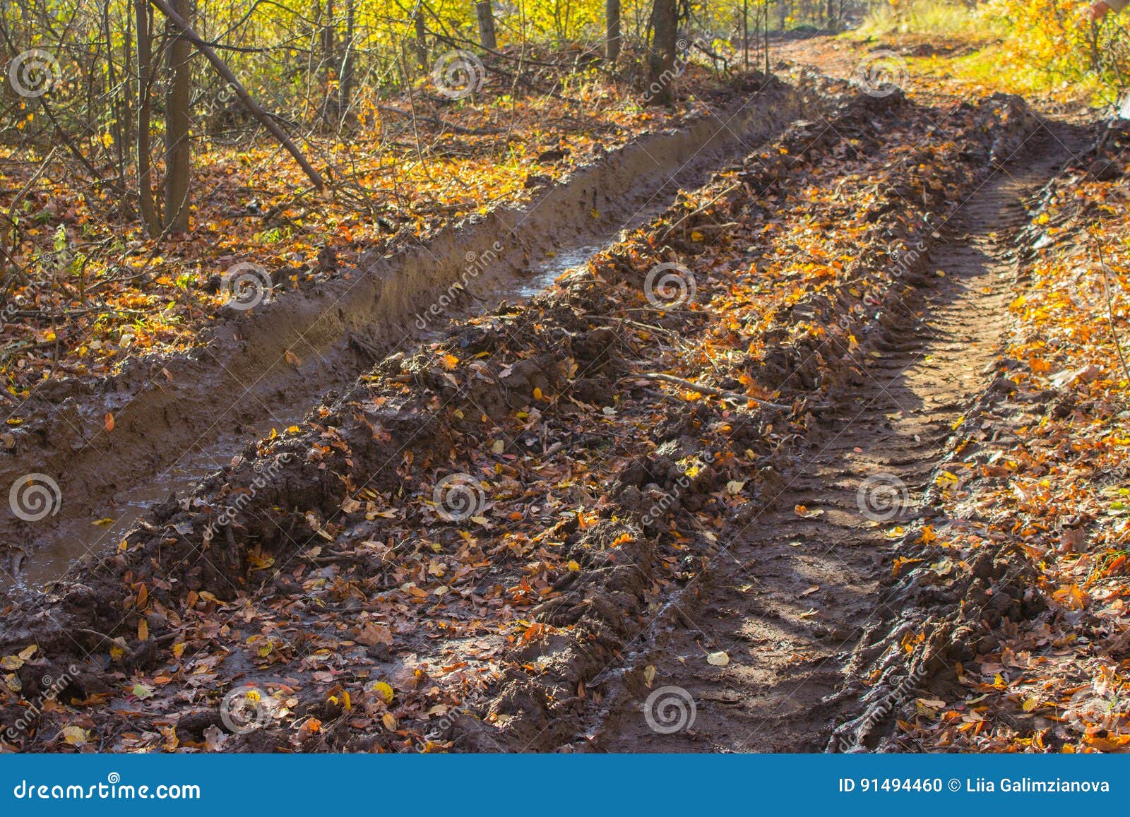 Messy rural dirt road stock photo. Image of russia, difficult - 91494460