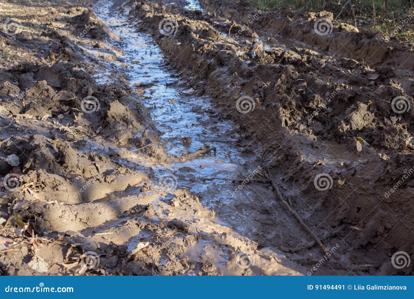 Messy rural dirt road stock image. Image of messy, nature - 91494491