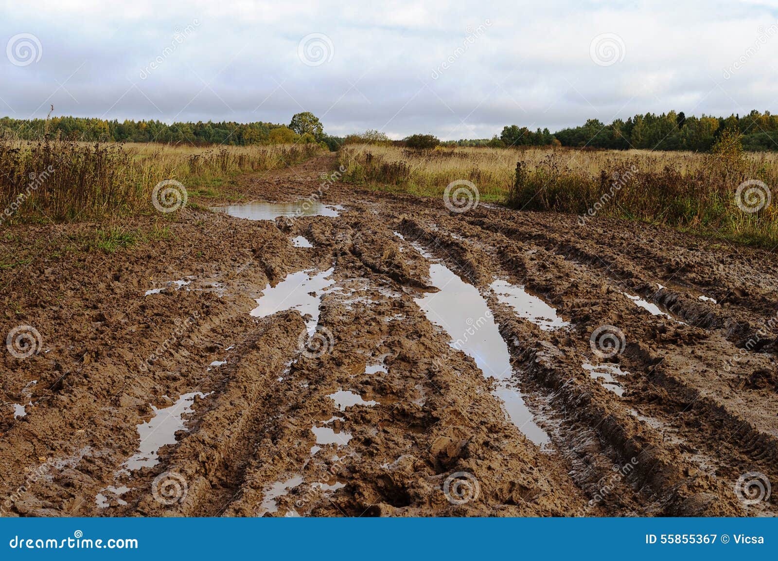Messy Rural Dirt Road after the Rain Stock Image - Image of morass ...