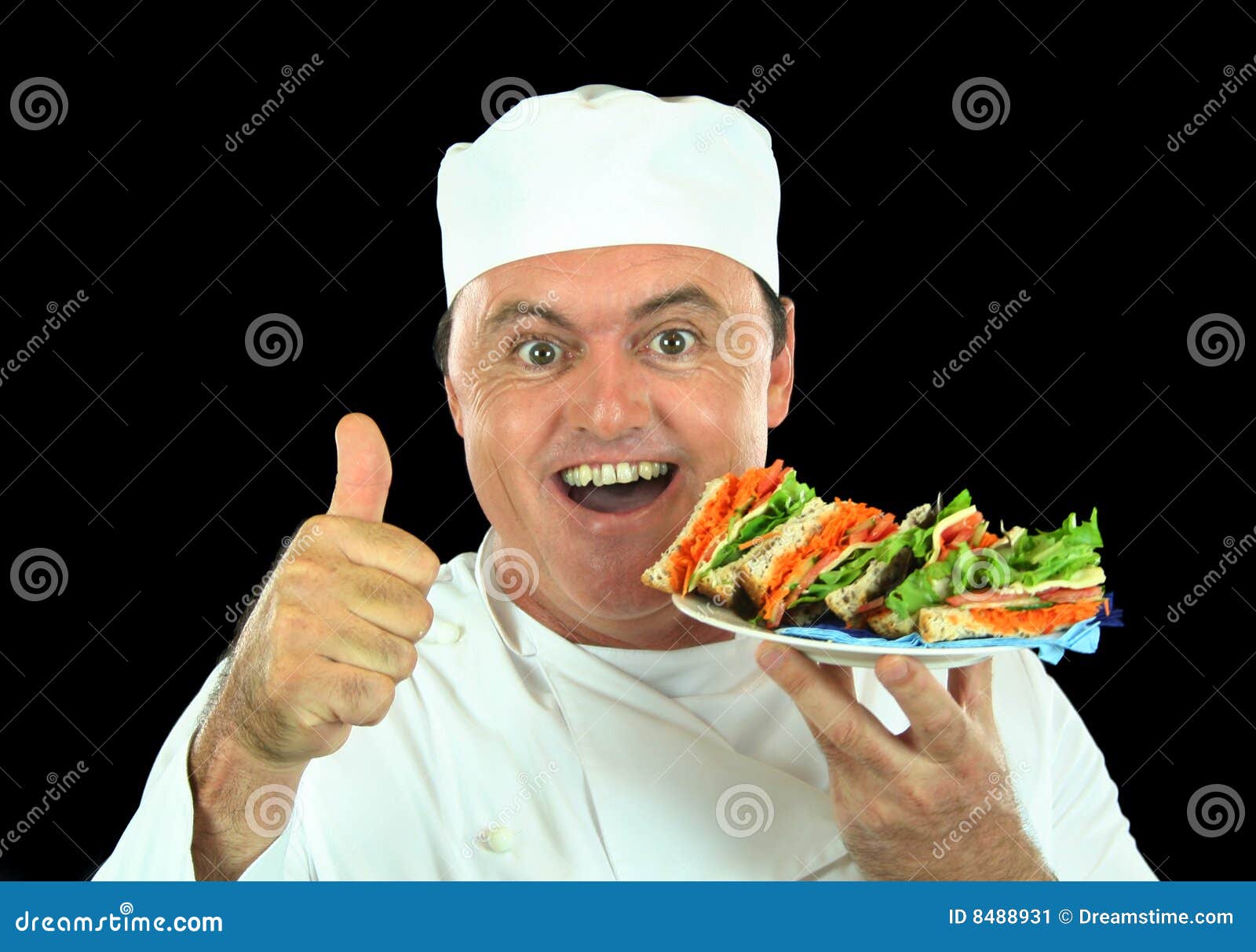 Messy Salad Sandwich Chef stock image. Image of pleased - 8488931