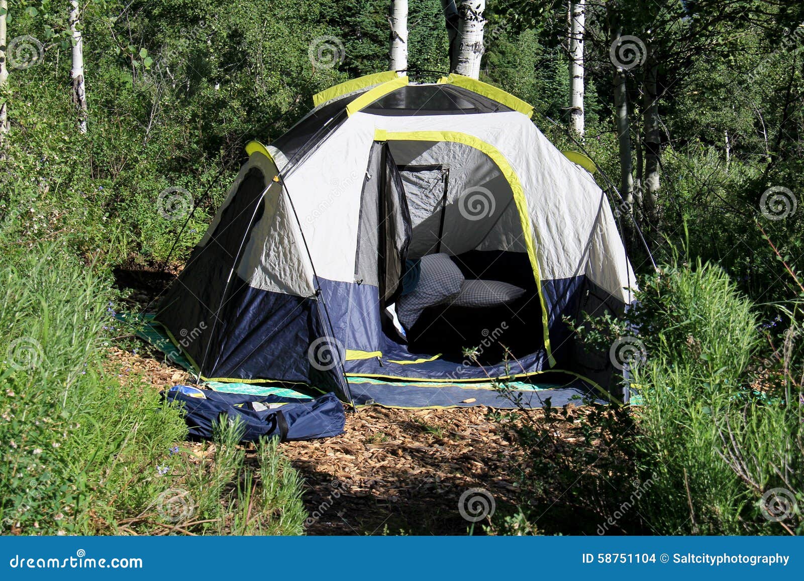 Messy Tent stock photo. Image of vented, mesh, wilderness - 58751104