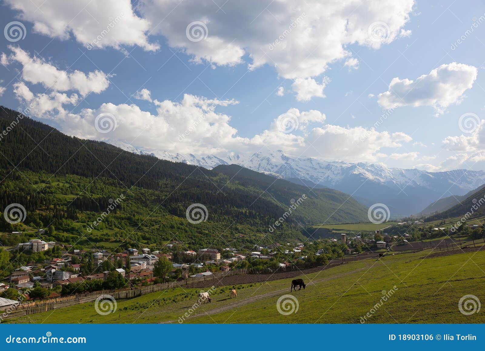 Mestia Valley. Upper Svaneti. Georgia. Stock Photo - Image of horse ...