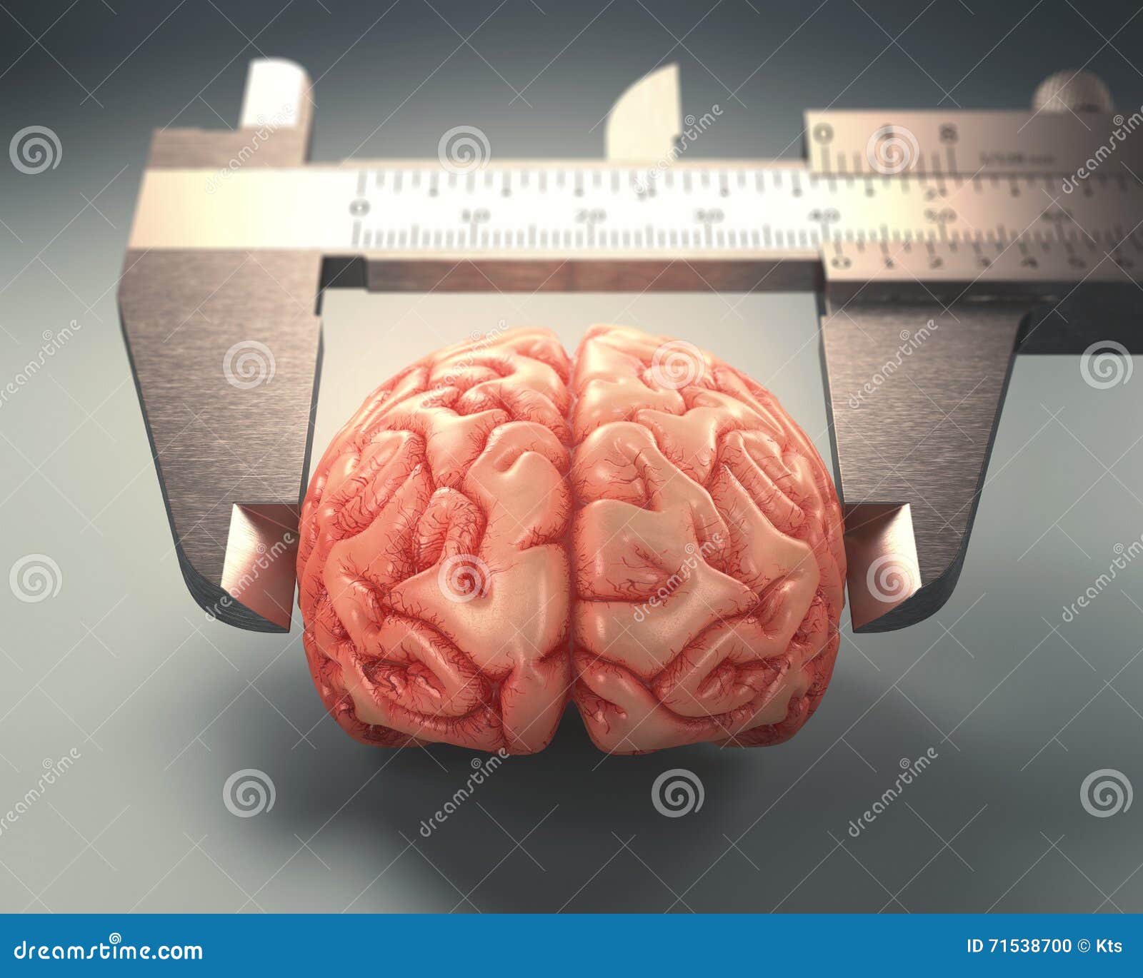 Mesure De L'intelligence Humaine Photo stock - Image du étrier ...