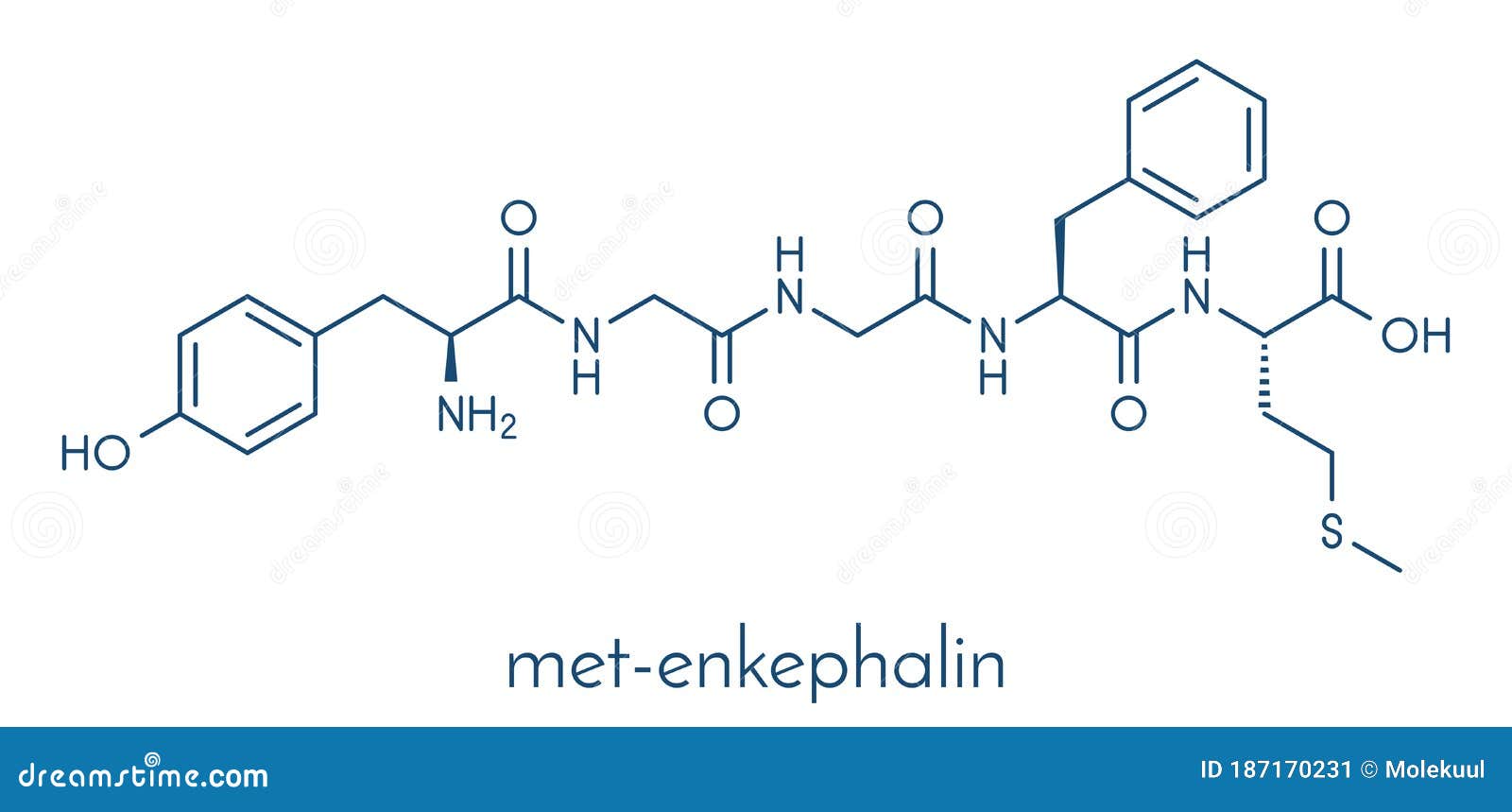 Leu-enkephalin Endogenous Opioid Peptide Molecule. Skeletal Formula ...