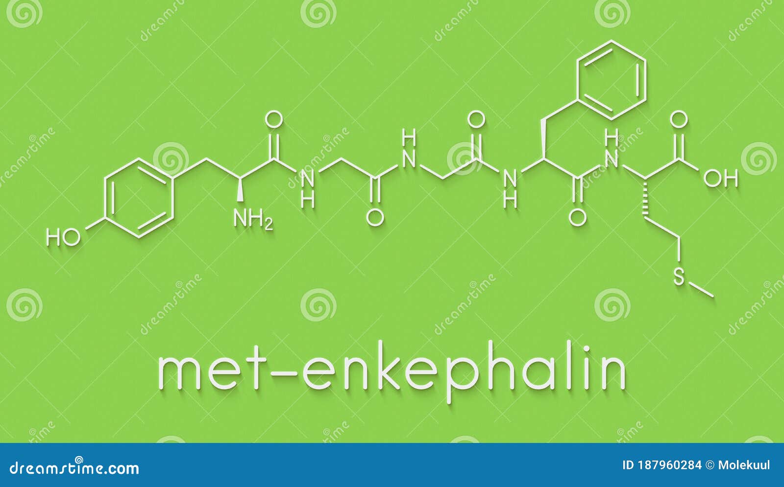 Met-enkephalin Endogenous Opioid Peptide Molecule. Skeletal Formula ...
