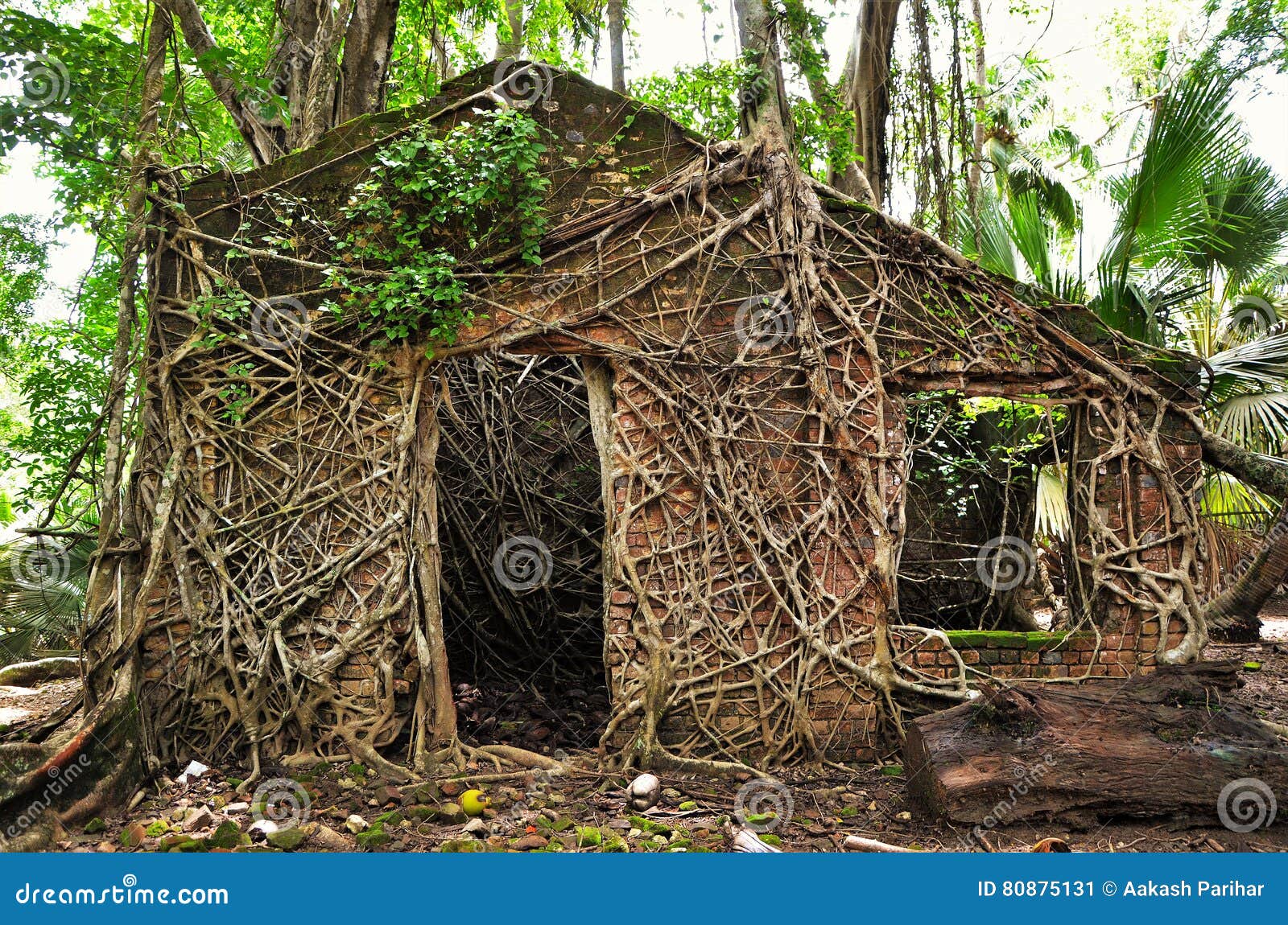 Met het enge huis stock afbeelding. Image of ligt, eiland - 80875131