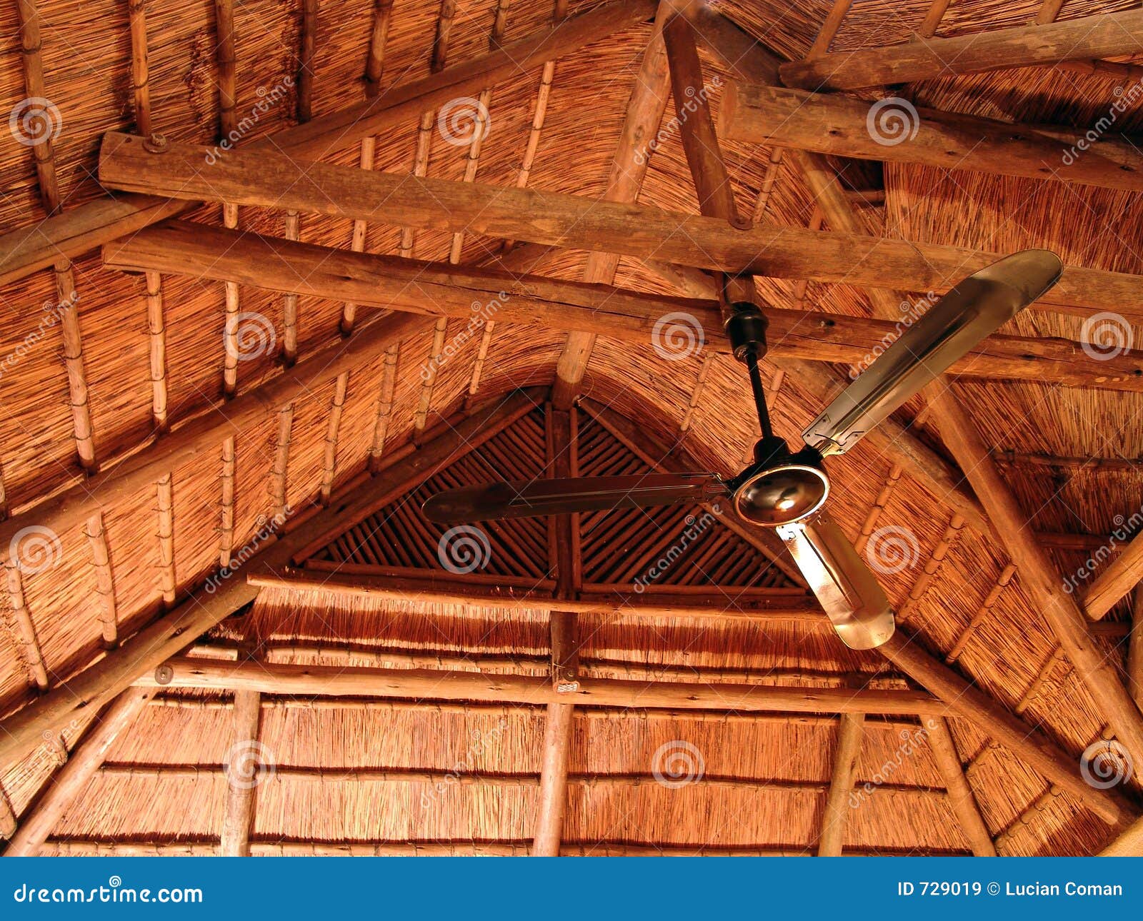 Met stro bedekt dak stock afbeelding. Image of traditie - 729019