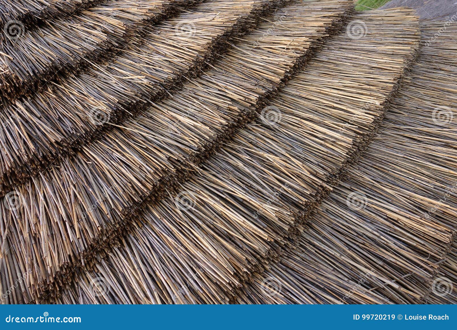 Met stro bedekt dak stock afbeelding. Image of wederopbouw - 99720219