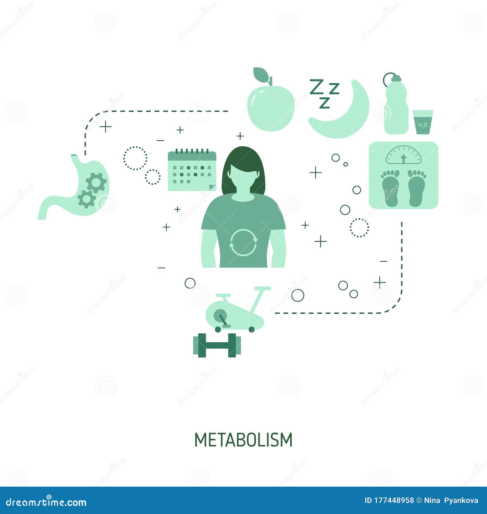 Metabolism Concept Vector Illustration Diagram, Biochemical Body Cycle ... Metabolism Concept Vector Illustration Diagram, Biochemical Body Cycle ...
