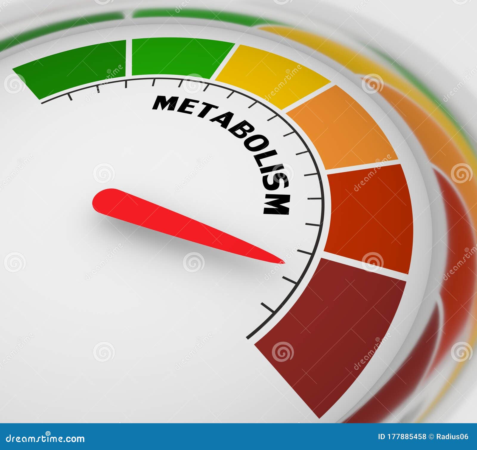 Metabolism Level Concept stock illustration. Illustration of diet ... Metabolism Level Concept stock illustration. Illustration of diet ...