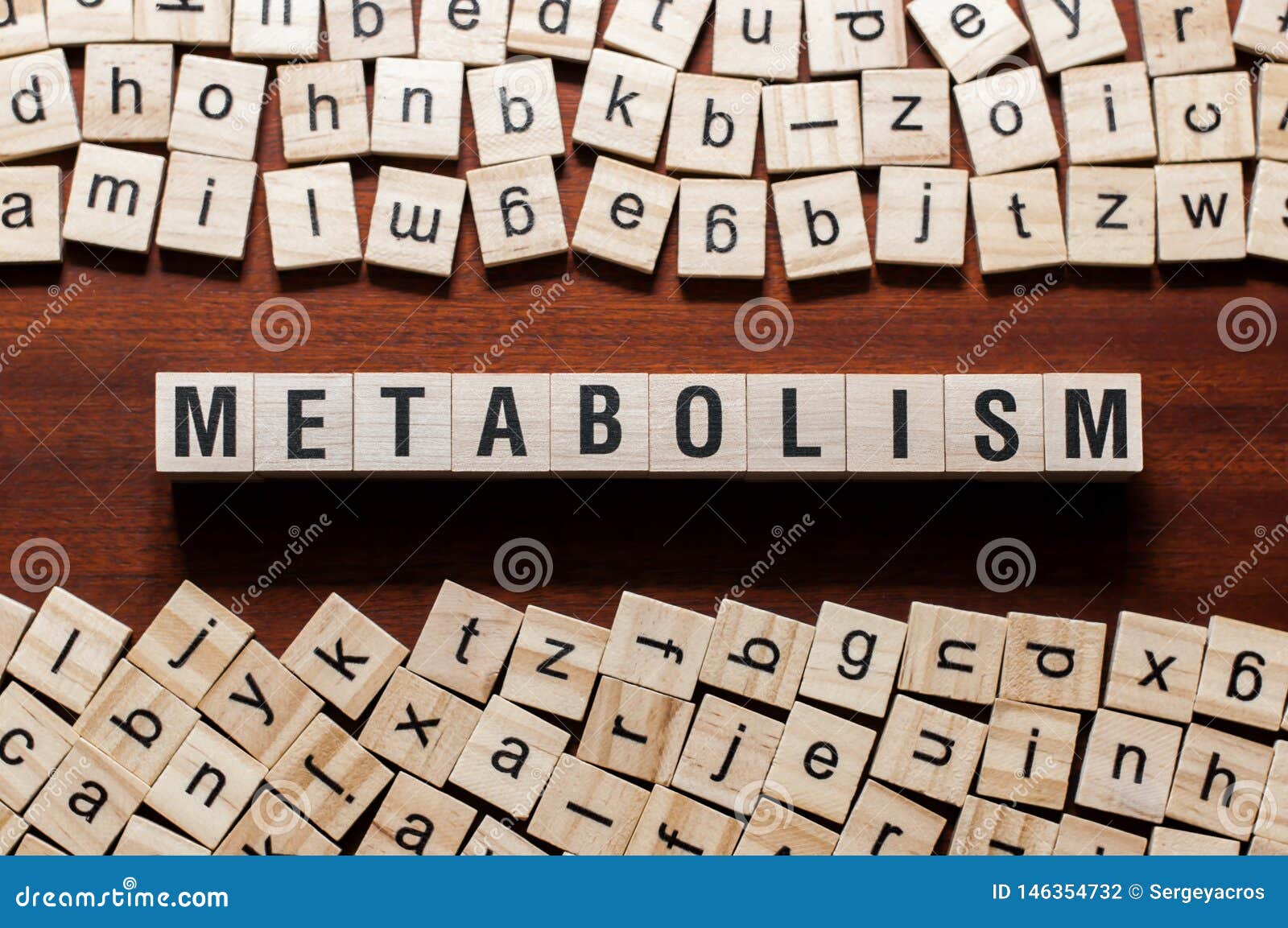 Metabolism Word Concept on Cubes Stock Photo - Image of disease ...