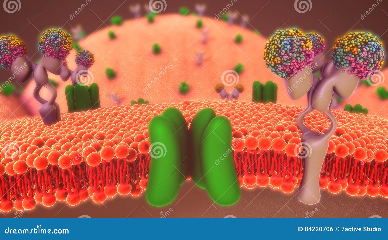 Metabolismo del glucosio illustrazione di stock. Illustrazione di ...