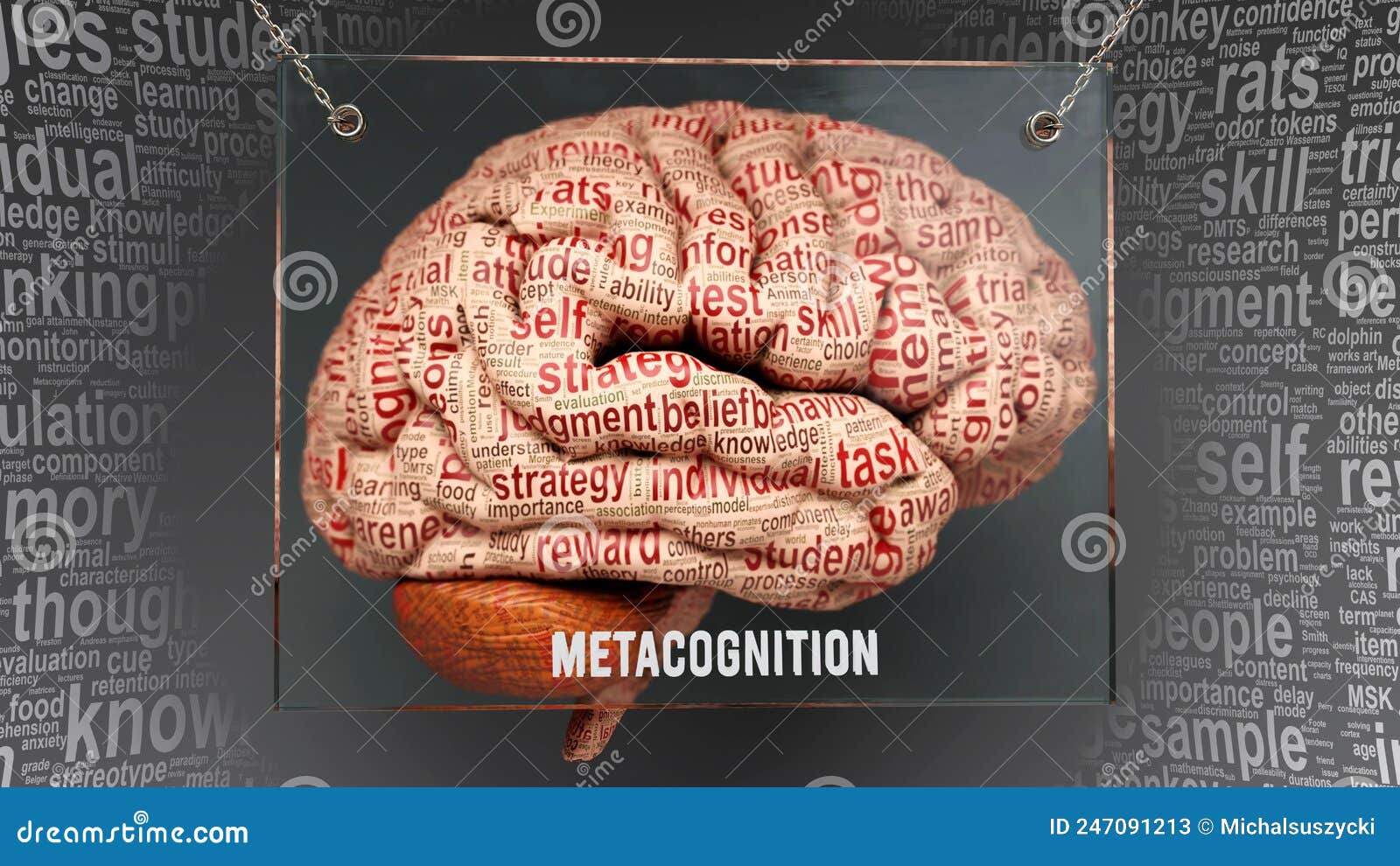 Metacognition in Human Brain Stock Illustration - Illustration of words ...