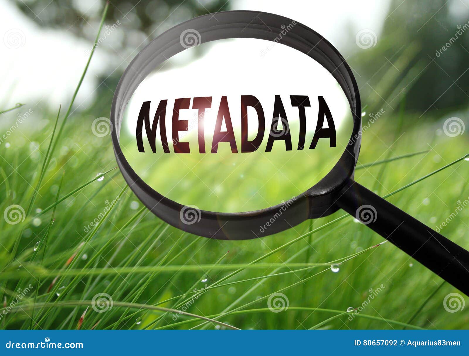 519 Word Metadata Stock Photos - Free & Royalty-Free Stock Photos from ...
