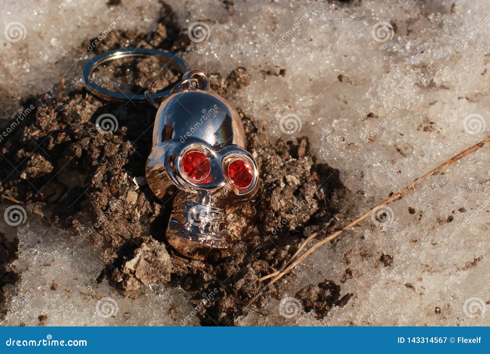 Metal Amulet in the Form of a Skull. Stock Image - Image of background ...