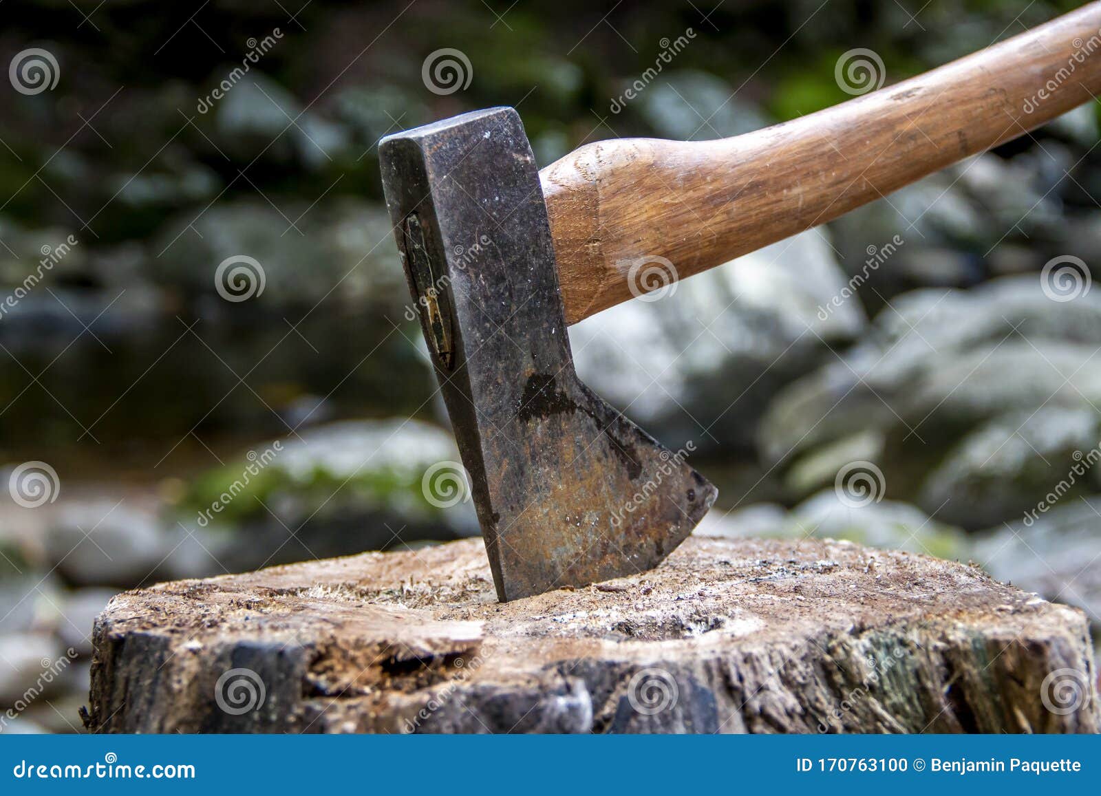 Metal axe stuck in a tree stock photo. Image of isolated - 170763100