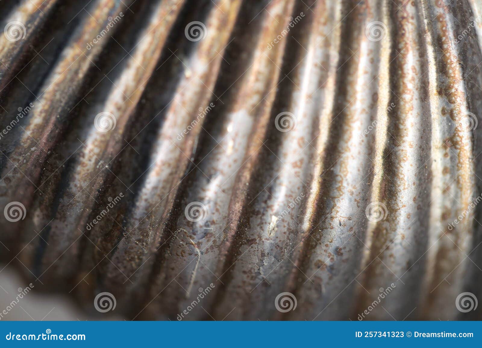 Metal Background with Traces of Rust.Ribbed Metal Rusty Surface.Ribbed ...