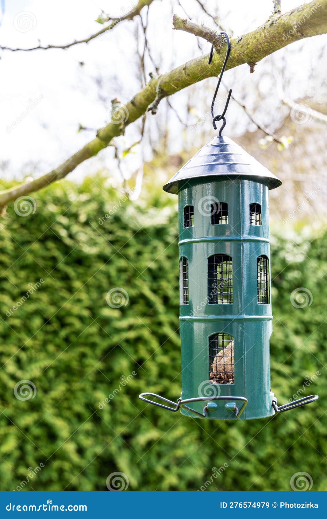 A Metal Bird Feeder Hangs on a Branch Stock Image - Image of feeder ...