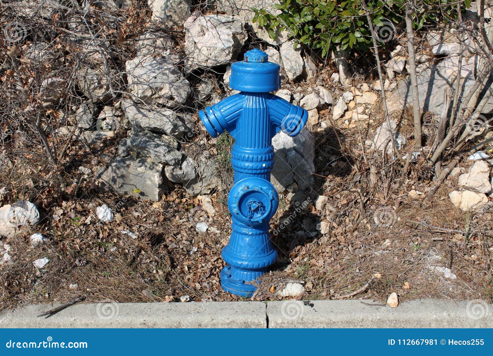 Metal Blue Fire Hydrant Surrounded with Dried Branches and Rocks Stock ...