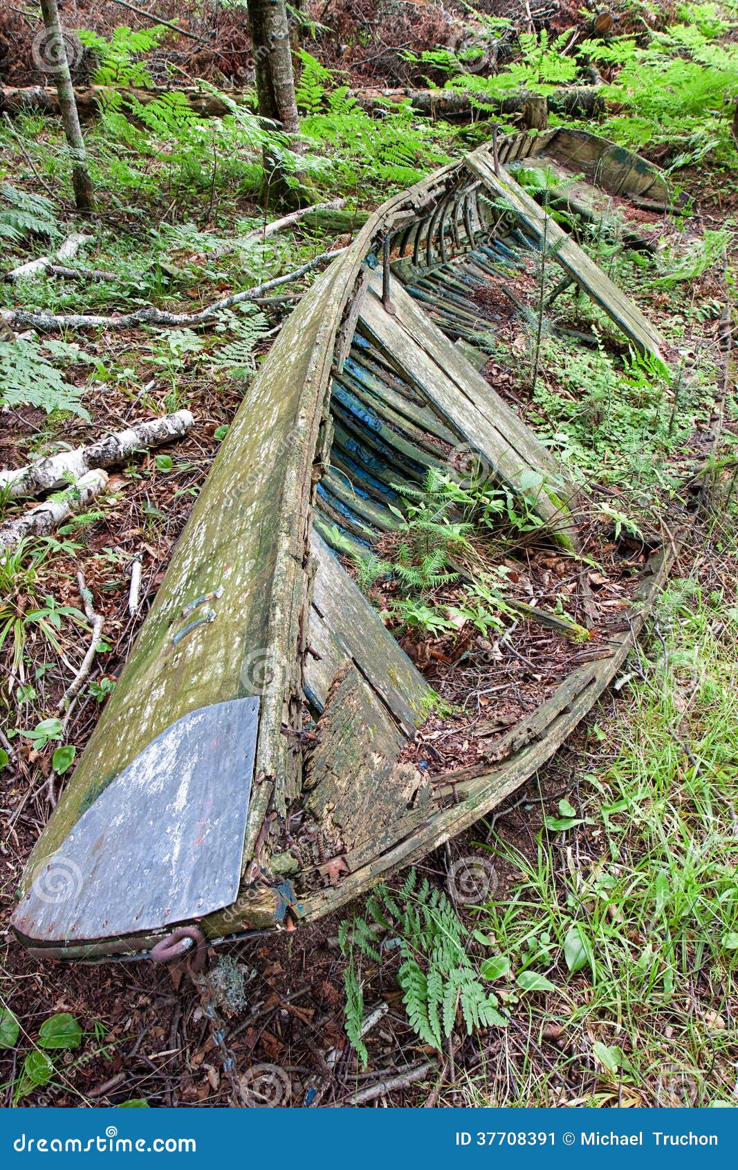 Metal Bow stock image. Image of forest, rowboat, flora - 37708391