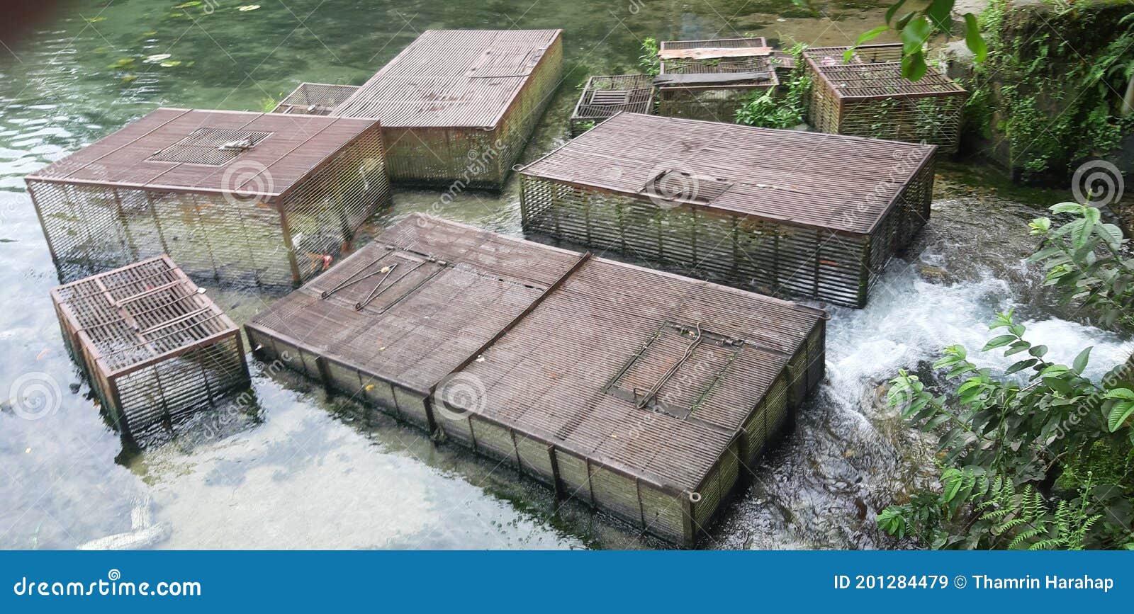 Metal cages for gold fish stock image. Image of metal - 201284479