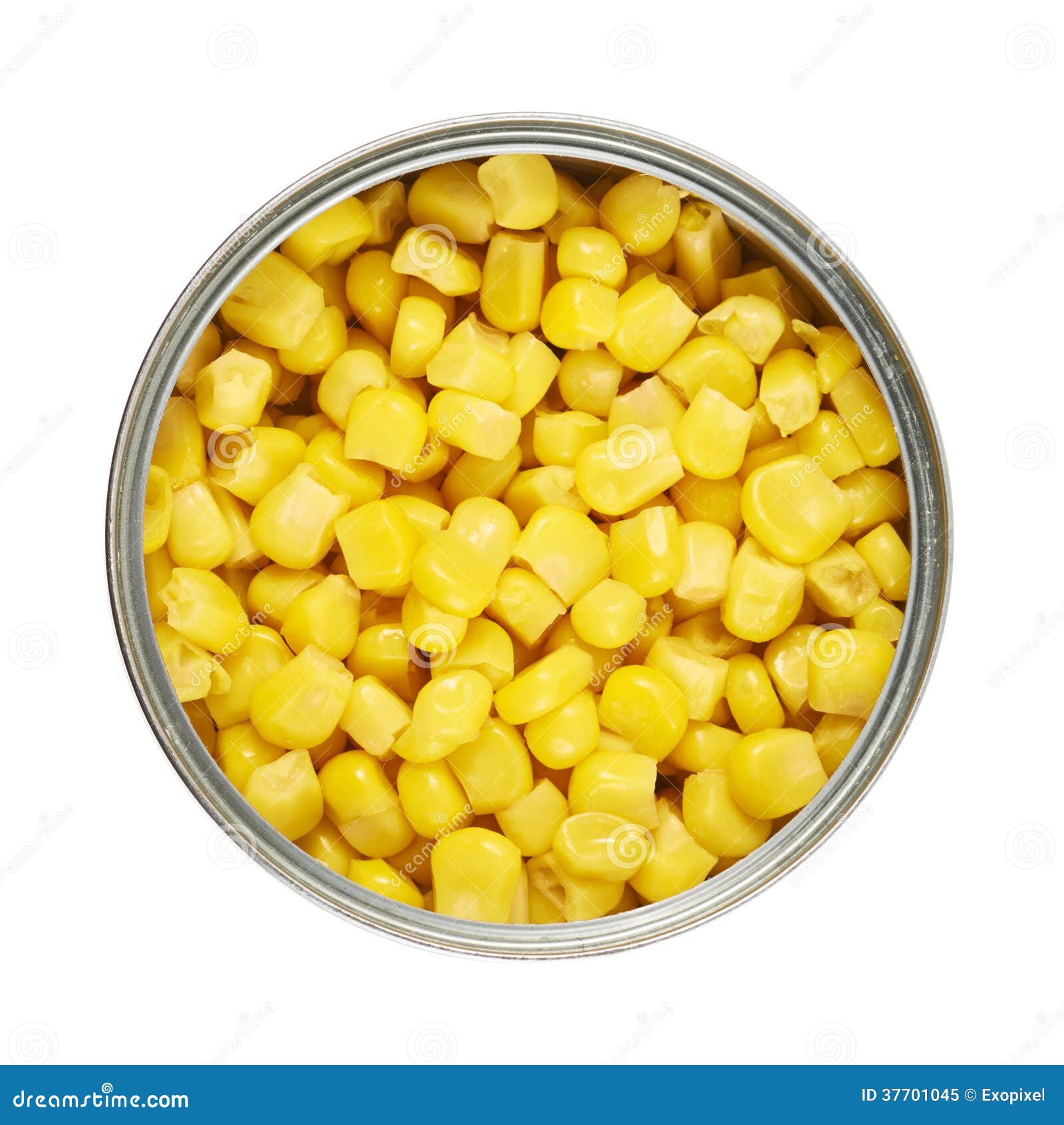 Metal Can Full of Corn Kernels Isolated Stock Image - Image of ...