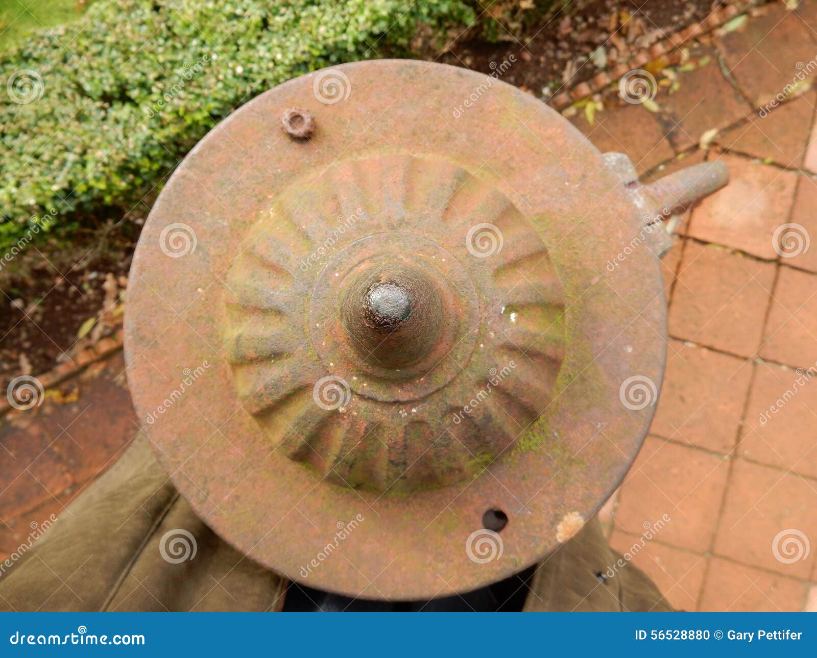 839 Joint Pin Stock Photos - Free & Royalty-Free Stock Photos from ...