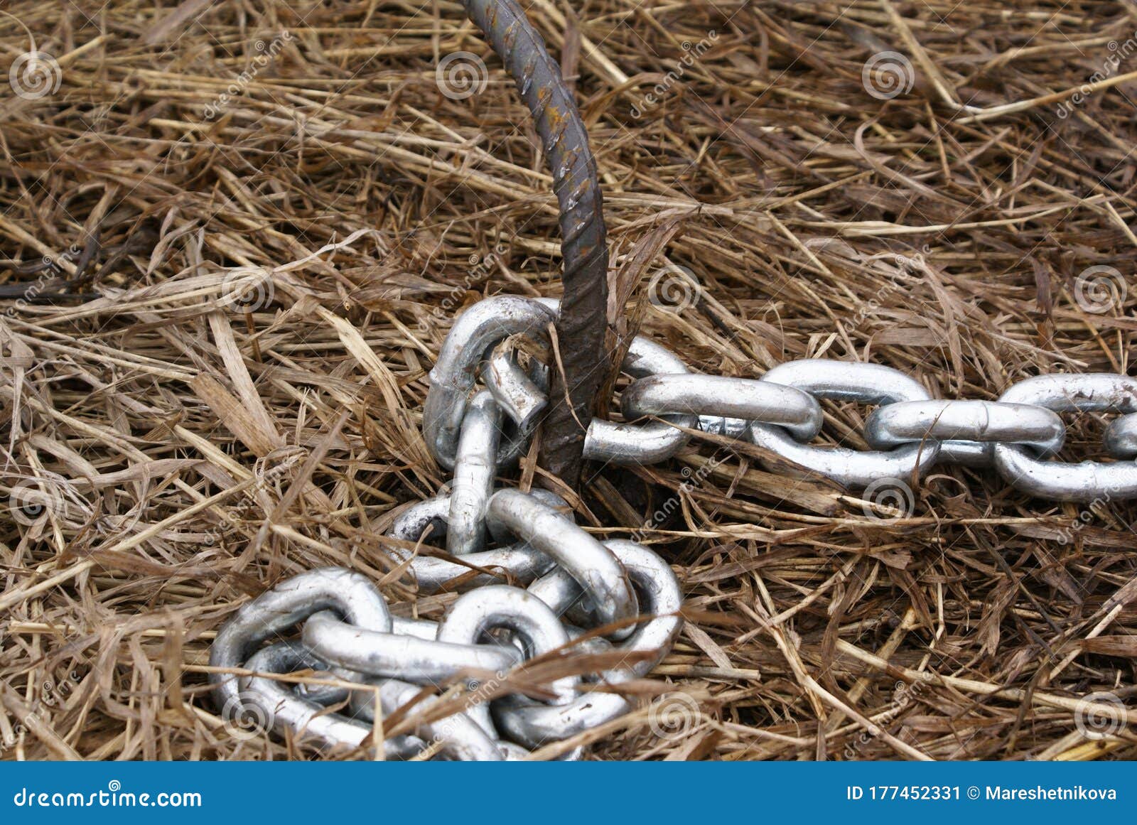 A Metal Chain Lies on the Dry Grass Stock Image - Image of large, lying ...