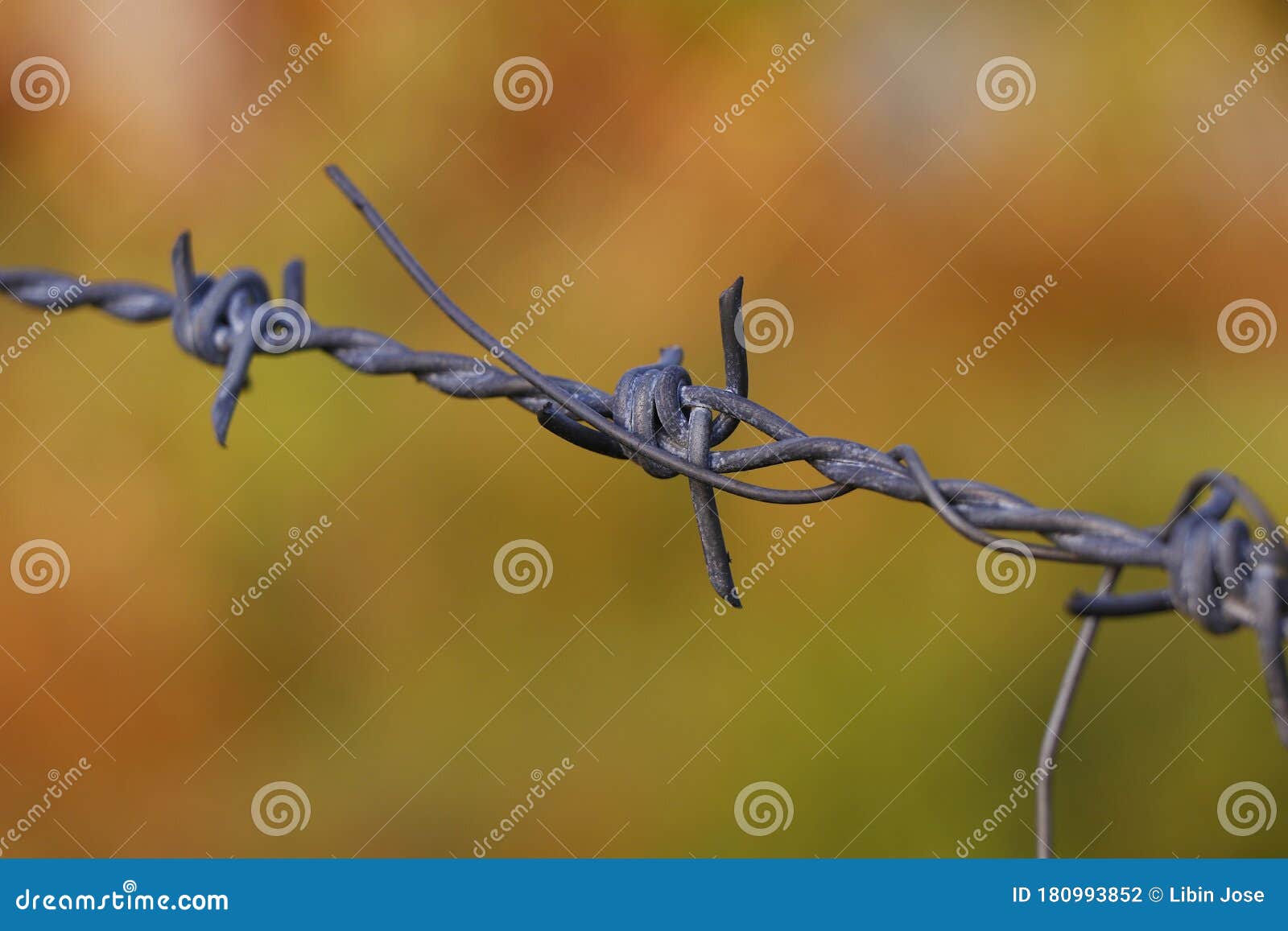 Metal Chain with Spike for the Fence for the Safety and Security ...