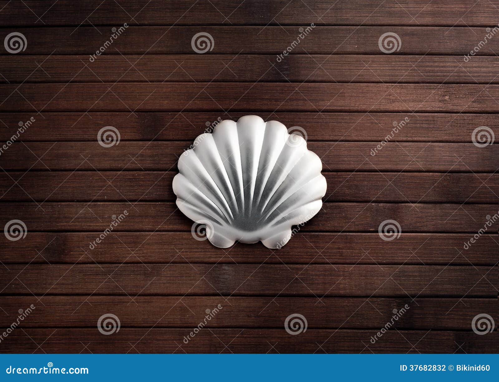 Metal clam. stock photo. Image of nature, vintage, scallop - 37682832